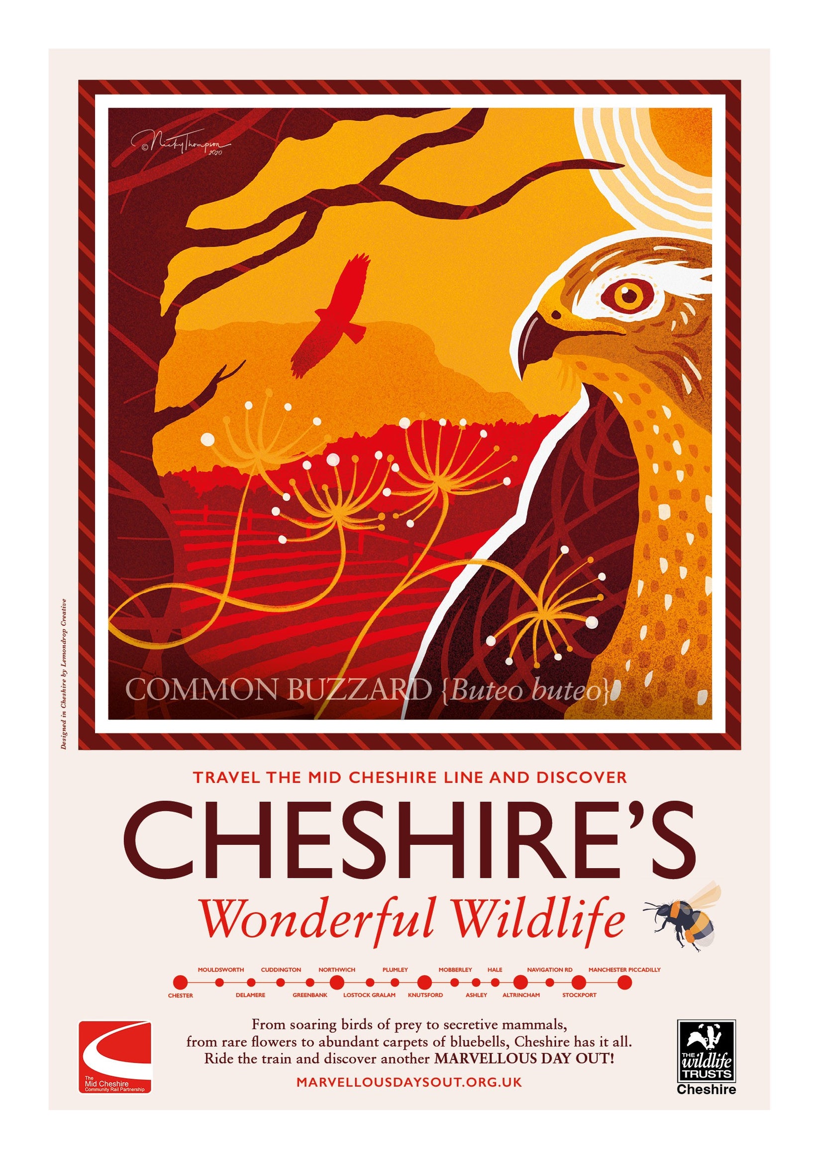 Common Buzzard Poster – Chester Cathedral Gift Shop