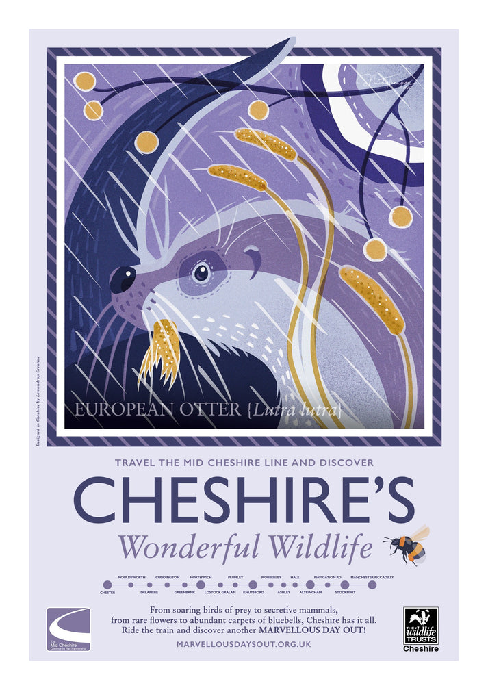 European Otter Poster – Chester Cathedral Gift Shop