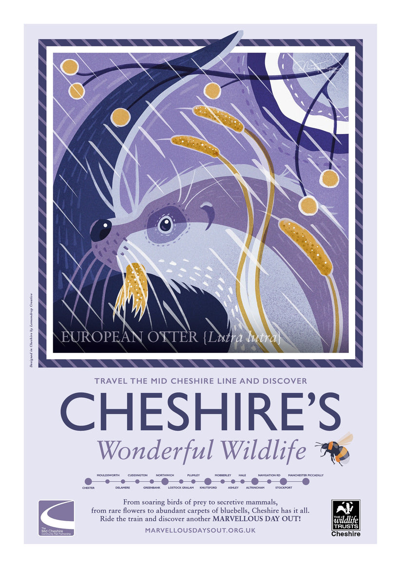 European Otter Poster – Chester Cathedral Gift Shop